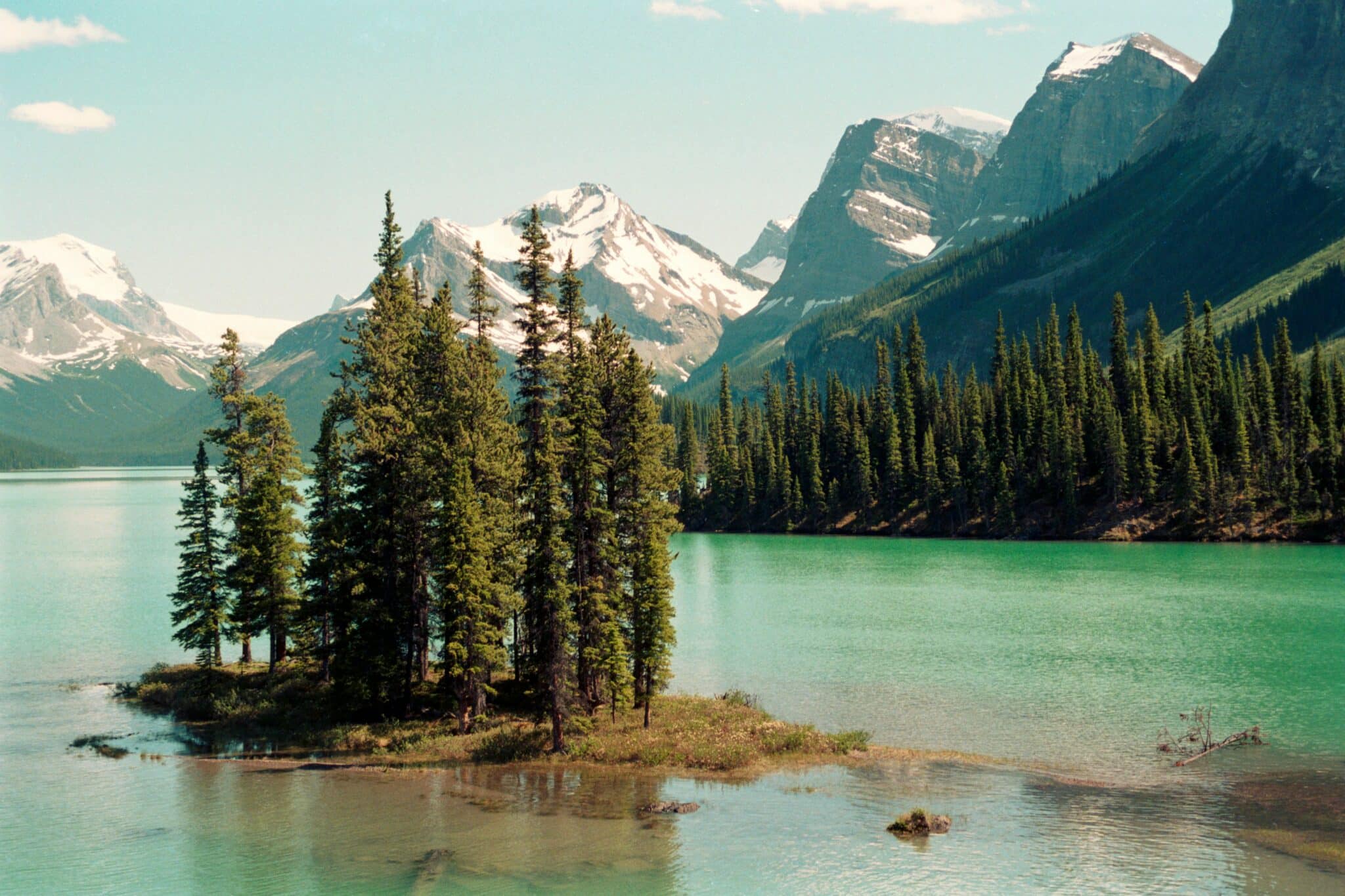 Your Guide To Alberta PNP: Pathways To Success