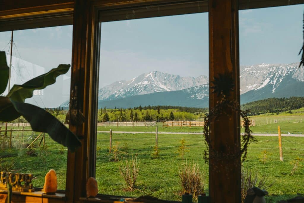 Your Guide To Alberta PNP: Pathways To Success