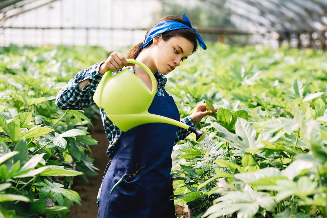 Seasonal Agriculture Worker Program: A Guide For Immigrants